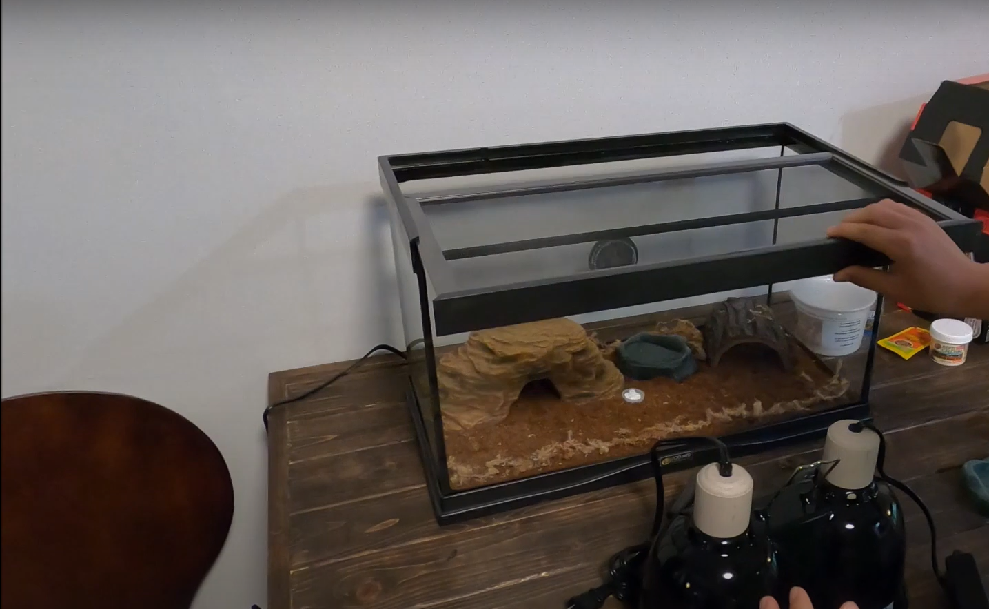 Top 5 Best Leopard Gecko Starter Kits [August 2025 Review] - ReptileProfy