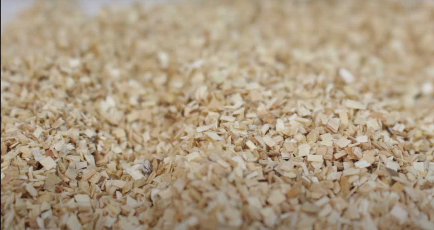 Top 5 Best Bedding Substrates for Leopard Geckos [November 2025 Review ...