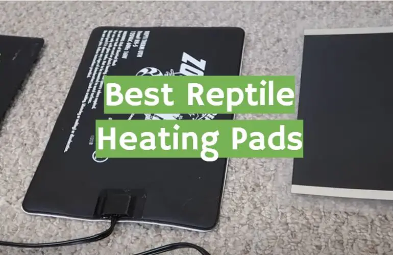 Top 5 Best Reptile Heating Pads [2021 Review] - ReptileProfy