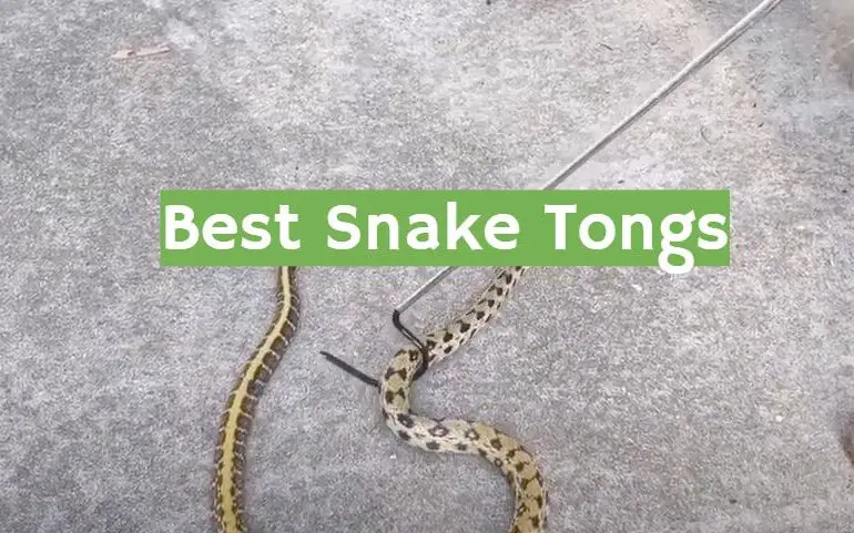 Top 5 Best Snake Tongs [2021 Review] - ReptileProfy