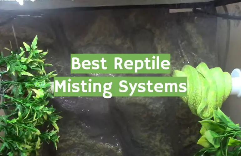 Top 5 Best Reptile Misting Systems [2021 Review] - ReptileProfy