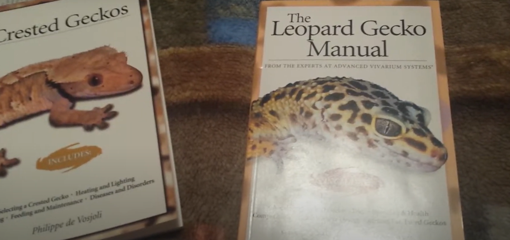 Top 5 Best Leopard Gecko Books [January 2025 Review] - ReptileProfy