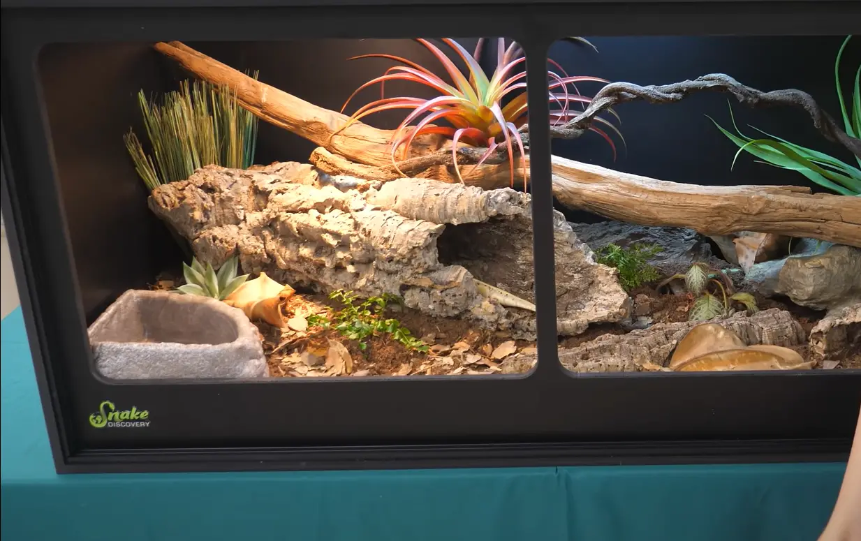 Top 5 Best Snake Terrariums [February 2025 Review] - ReptileProfy