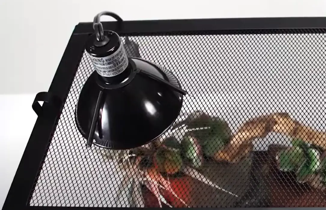 Zilla Basic Desert Kit Review in October 2025 - ReptileProfy