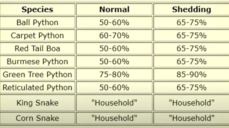 Boa Constrictor Care Guide for Beginners - ReptileProfy