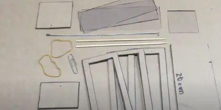 How to Catch a Wild Lizard? - ReptileProfy