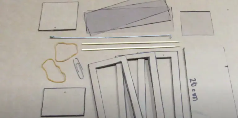 How to Catch a Wild Lizard? - ReptileProfy