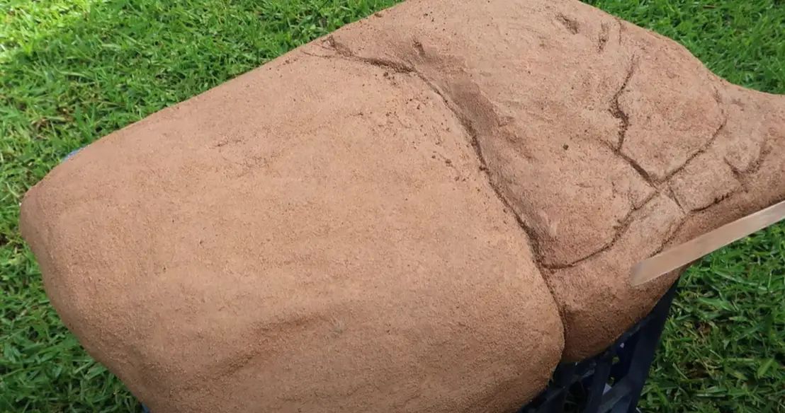 How to Make Fake Rocks for Reptile Cages? - ReptileProfy