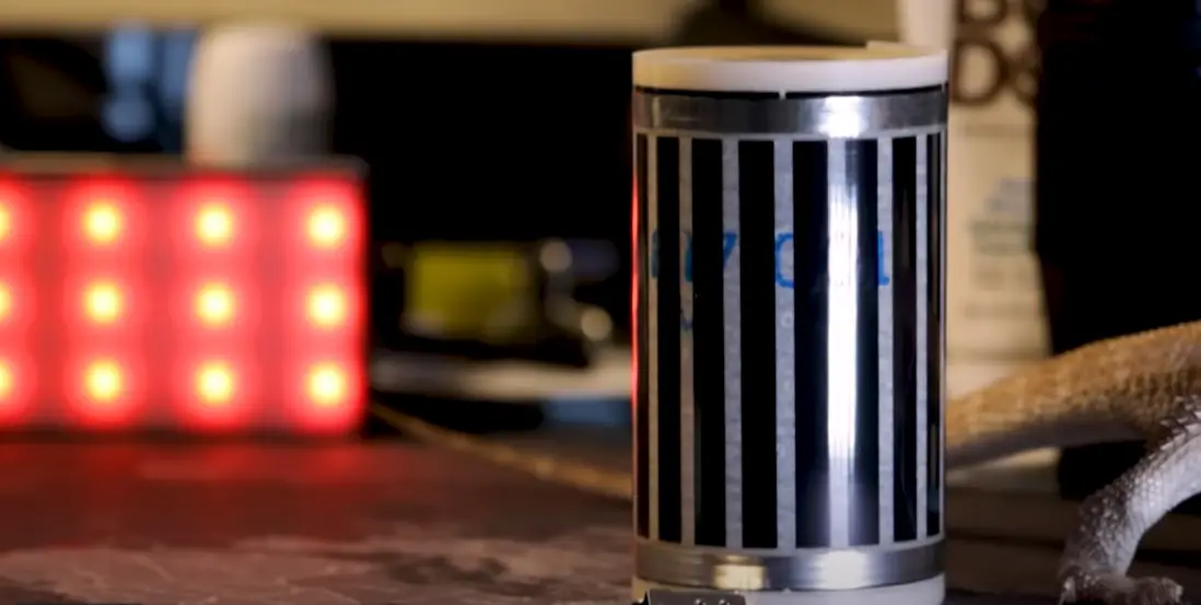 How to Become a Reptile Breeder?- ReptileProfy