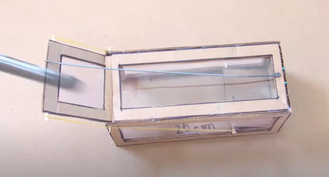 How to Catch a Wild Lizard? - ReptileProfy