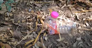 How to Catch a Lizard Without Killing It? - ReptileProfy